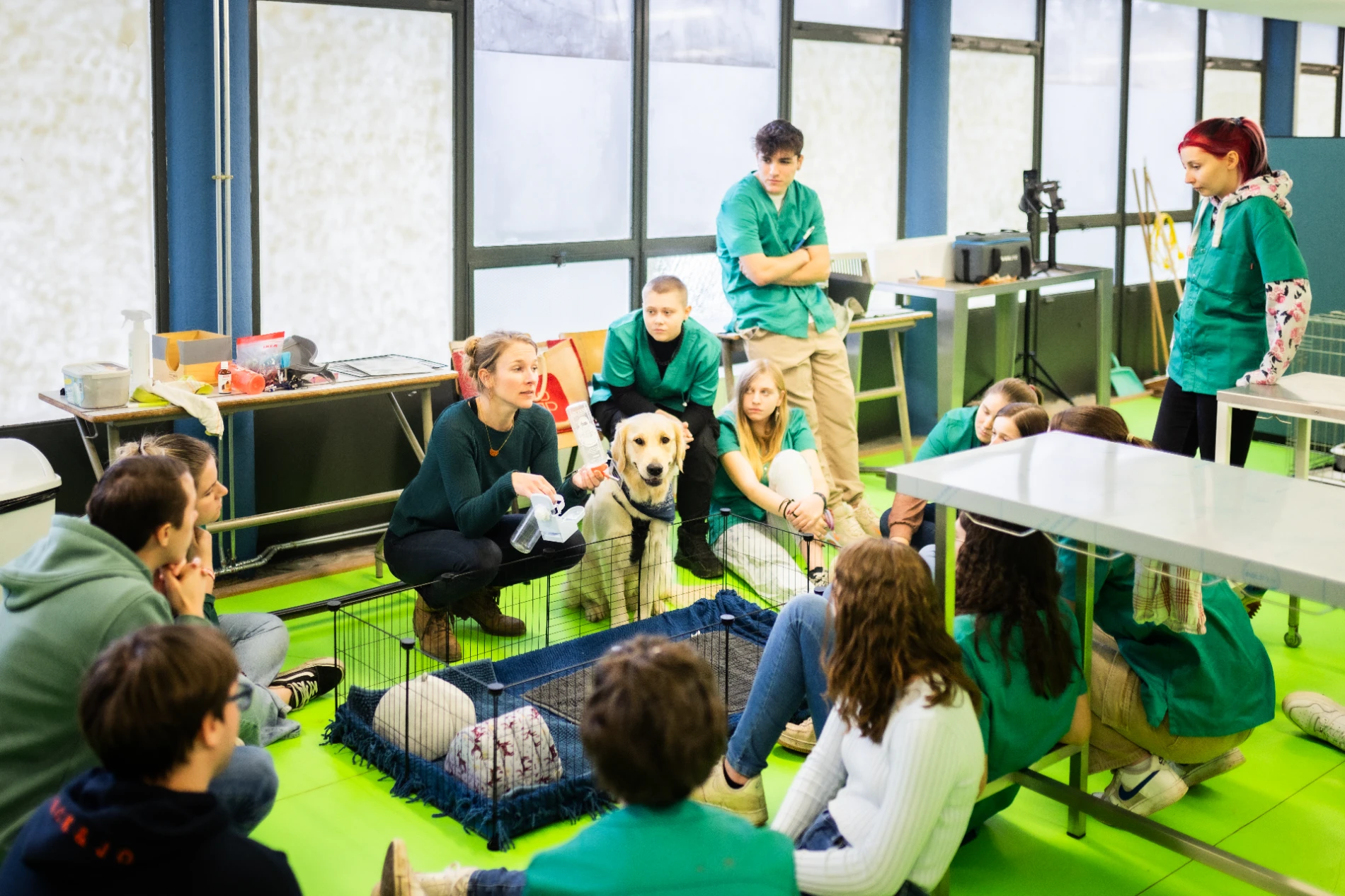 Assistant en soins animaliers | Formation à l’ITCF Rance